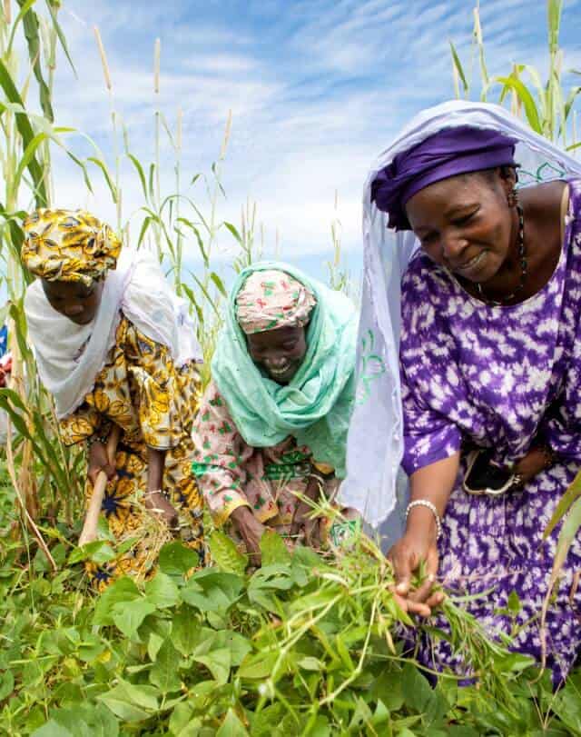 USDA-Supported Programs Help Mali Farmers Adapt in Hard Times - Aga ...